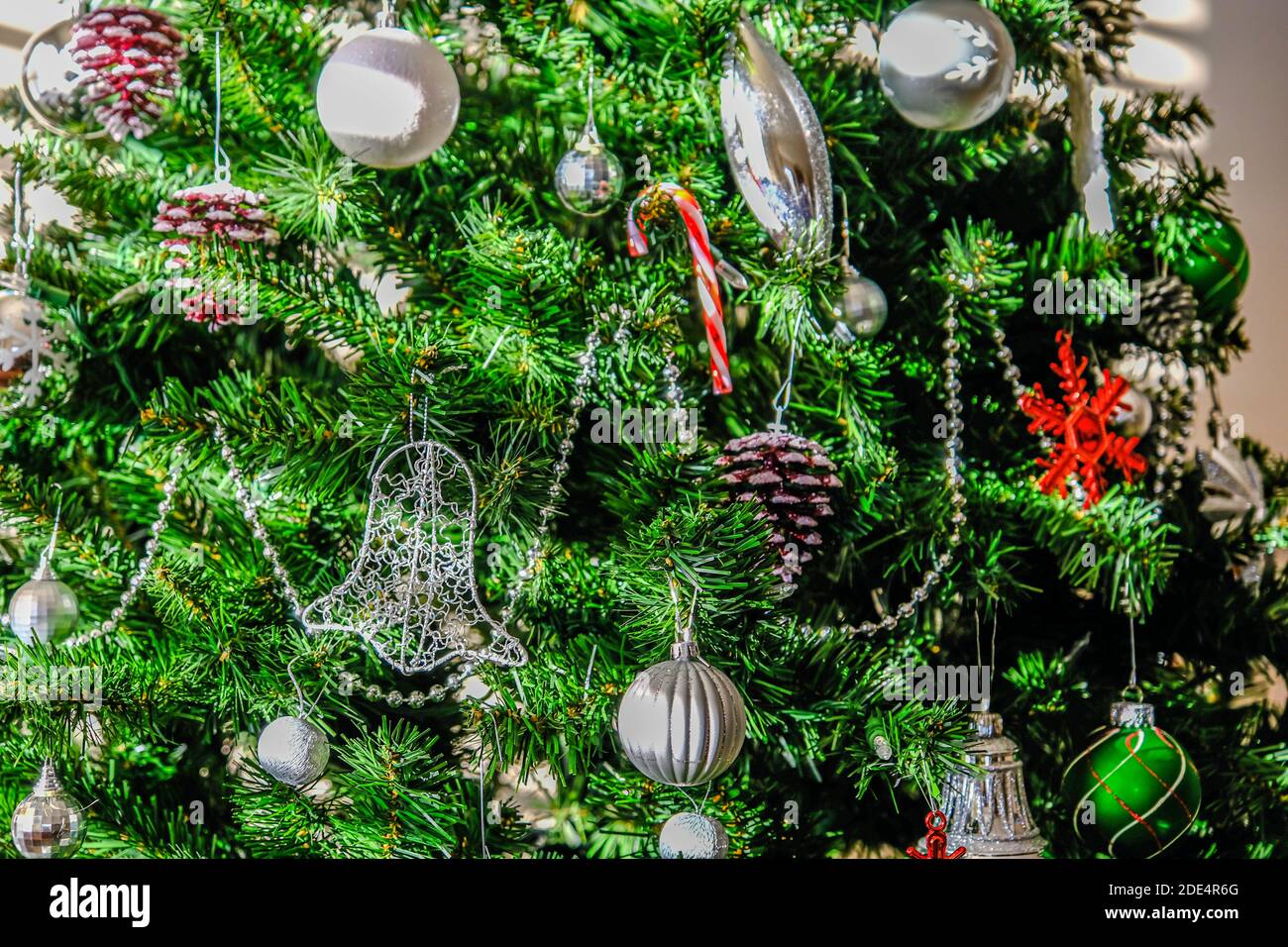 Christmas tree with sunlight shinning on it from outside Stock Photo ...