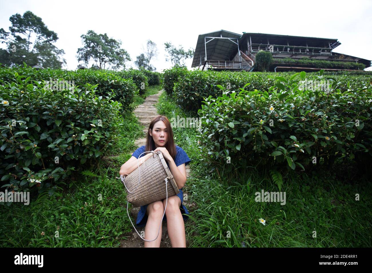 asian female farmer model in tribal costume style carry woven basket ...