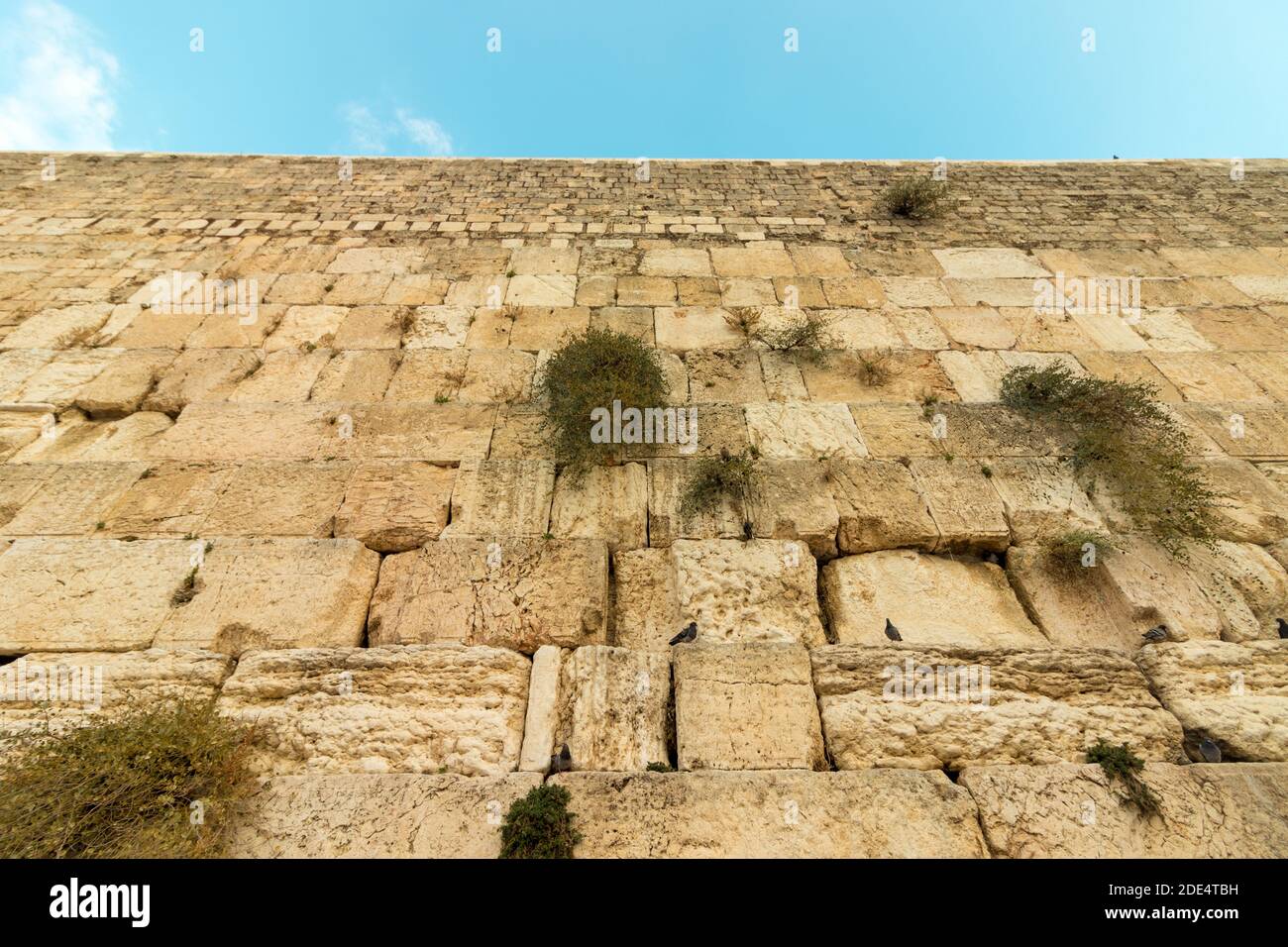 A low angle view of the stones of the Western Wall in Jerusalem, Israel ...