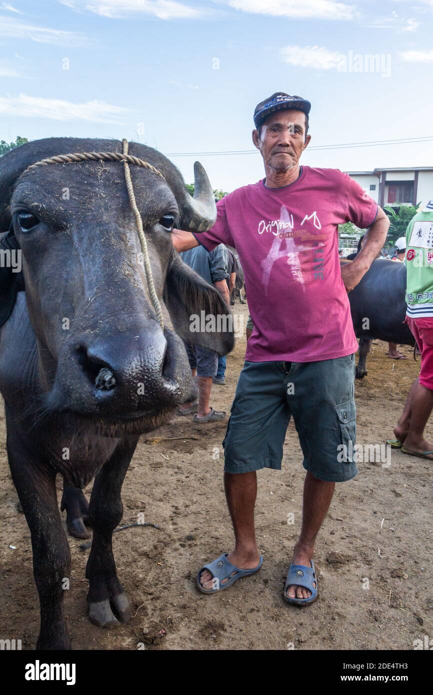 Early morning at the Padre Garcia Livestock Auction Market in Batangas ...