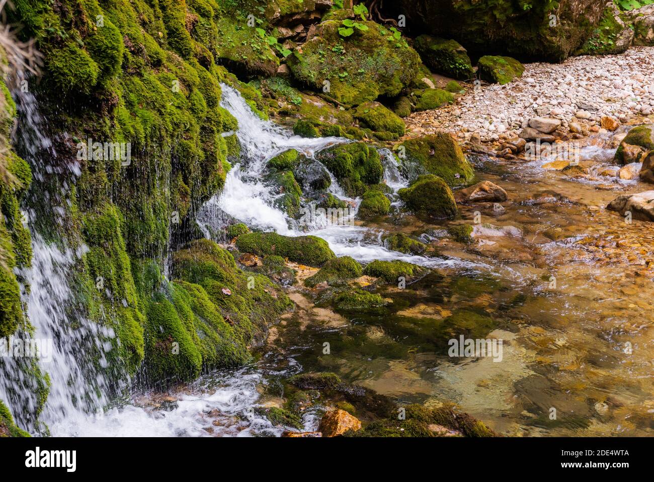 Ecology and nature. The source of clean drinking spring water among ...