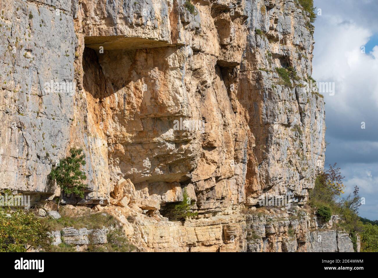 Closeup close up forest cliff wall hi-res stock photography and images ...