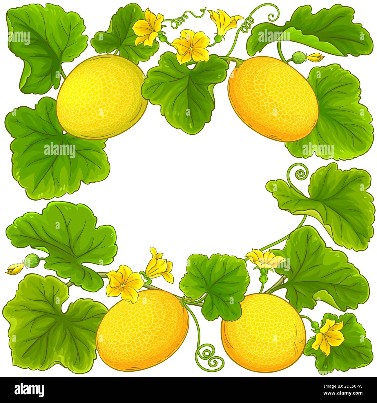 melon vector frame Stock Vector Image & Art - Alamy