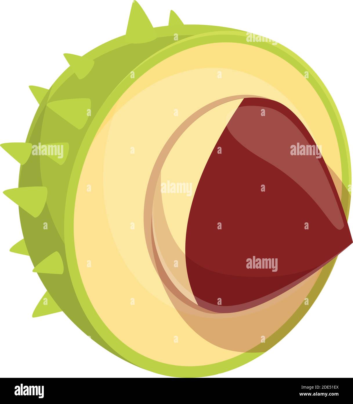 Sweet chestnut leaf vector hi-res stock photography and images - Alamy