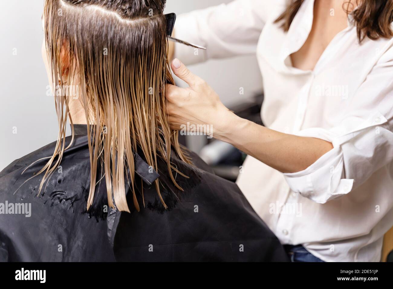 hair cutting process in a beauty salon Stock Photo - Alamy