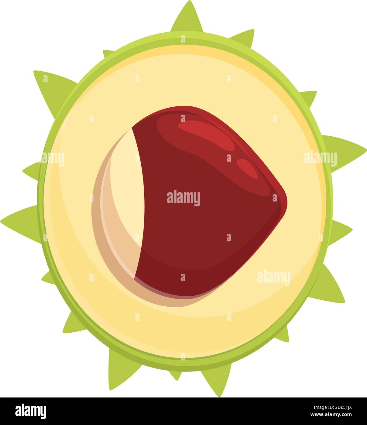 Chestnut seed icon. Cartoon of chestnut seed vector icon for web design ...