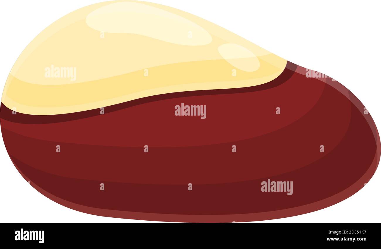 Garden chestnut icon. Cartoon of garden chestnut vector icon for web ...