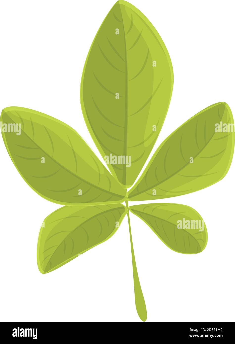 Chestnut leaf icon. Cartoon of chestnut leaf vector icon for web design ...