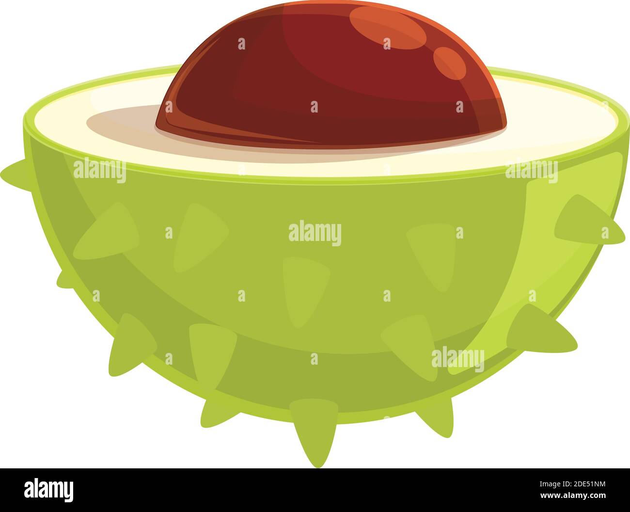 Chestnut half cutted icon. Cartoon of chestnut half cutted vector icon ...