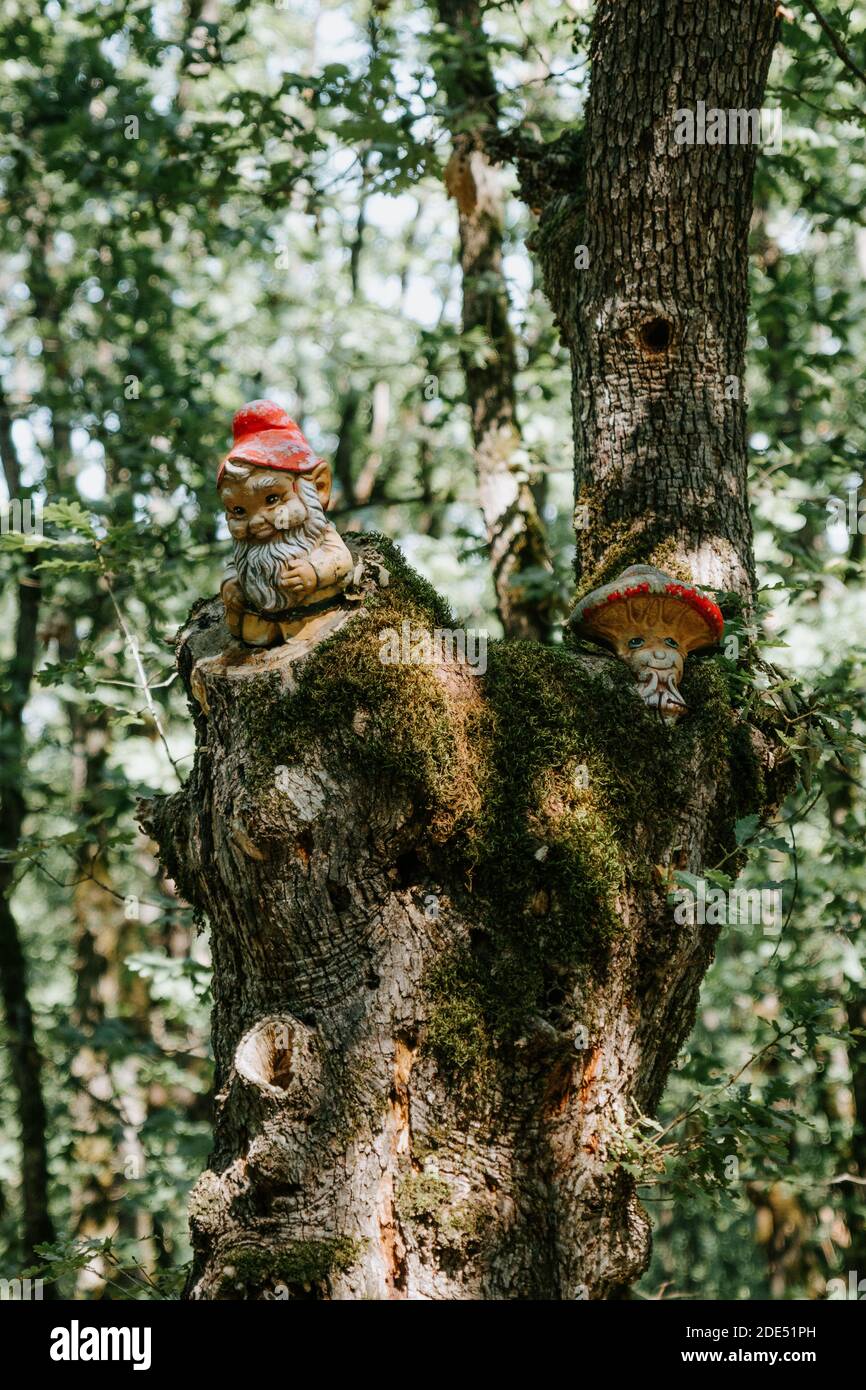 A vertical shot of garden gnomes on an old tree in the woods Stock ...