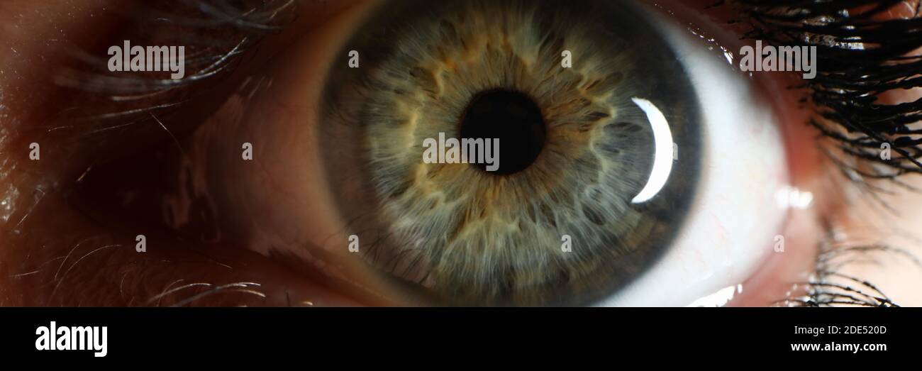 Eyelashes staring hi-res stock photography and images - Alamy