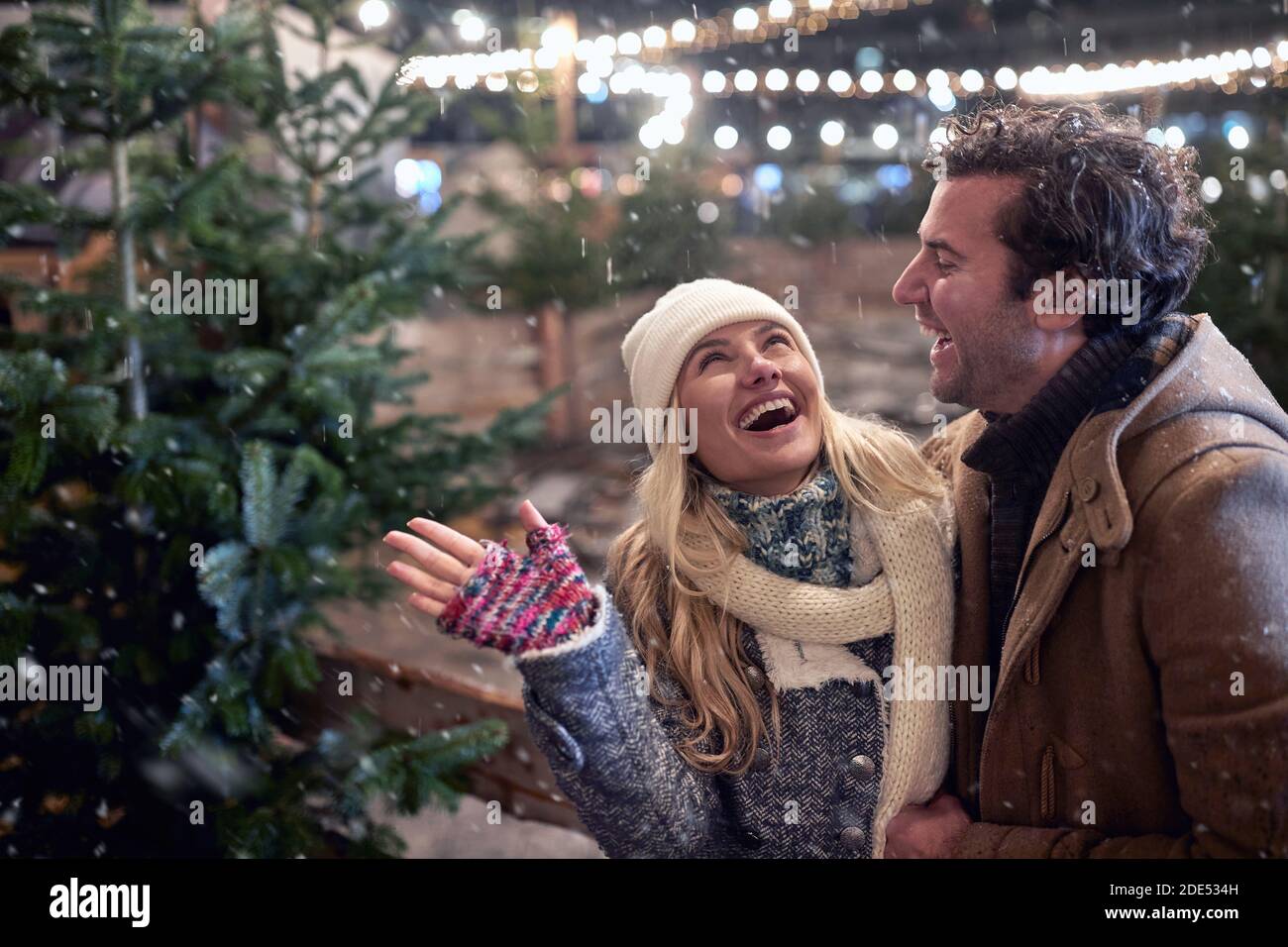Girlfriend and boyfriend choosing a Christmas tree together on a winter ...