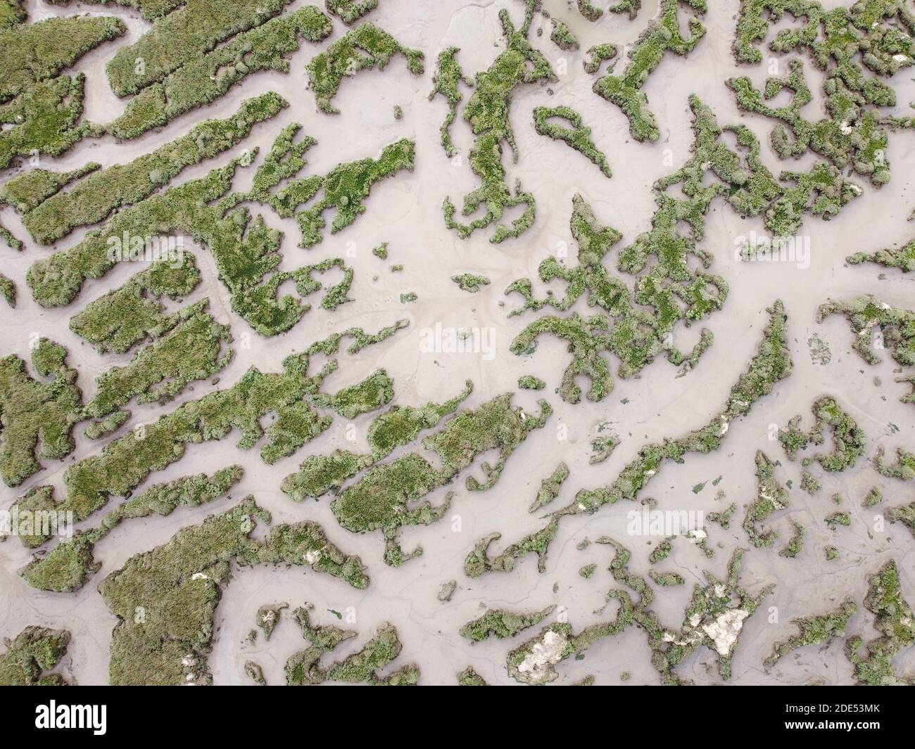birds eye view of marsh land by the sea looking down Stock Photo - Alamy