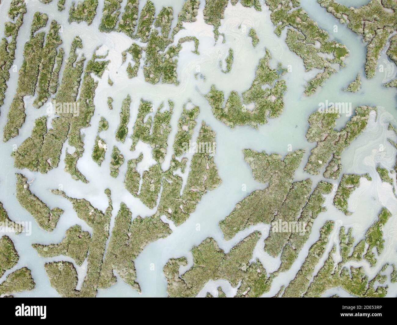 birds eye view of marsh land by the sea looking down Stock Photo - Alamy