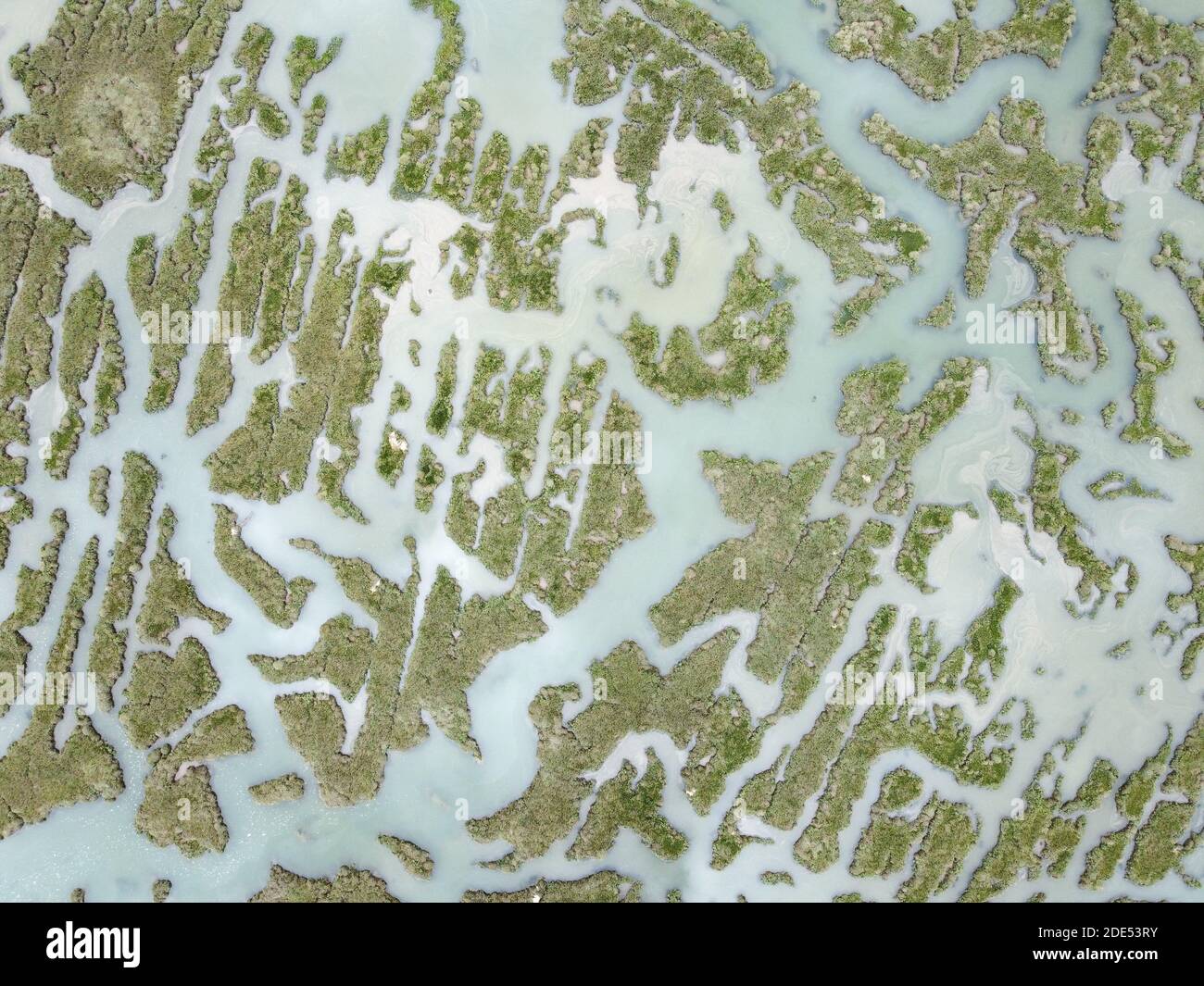 birds eye view of marsh land by the sea looking down Stock Photo - Alamy