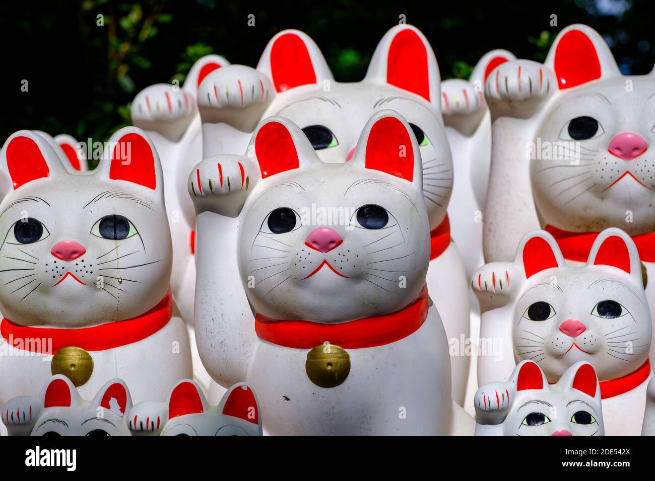 Japanese lucky cats Stock Photo - Alamy