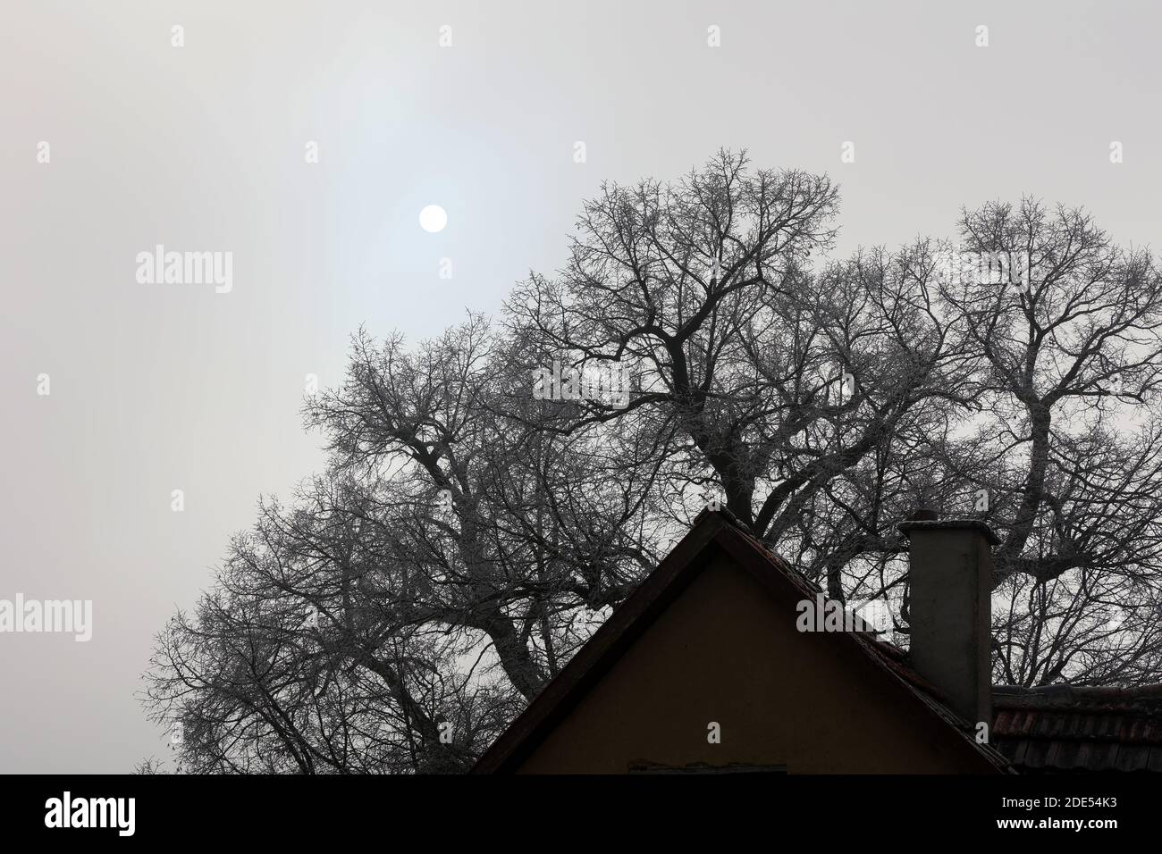 Sun in fog over rooftops and trees Stock Photo - Alamy