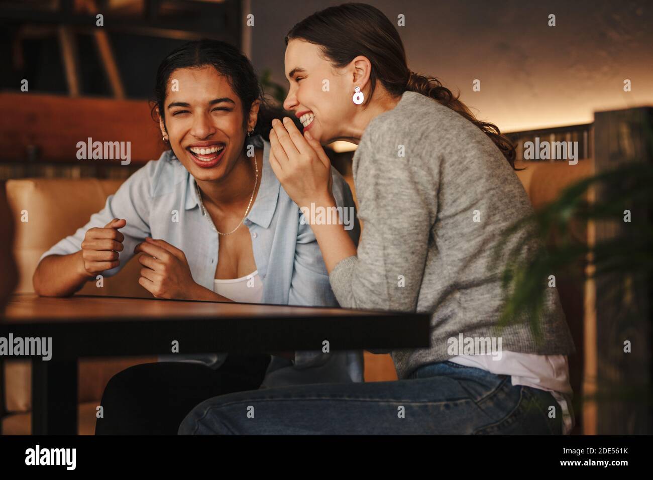 Women in conversation while meeting in a cafe. Two women friends ...