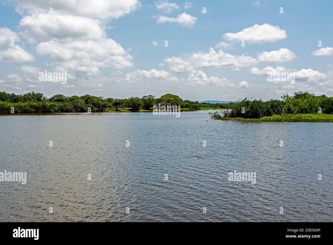 The Mutum River, (Rio Mutum) in the world's largest wetlands of the ...