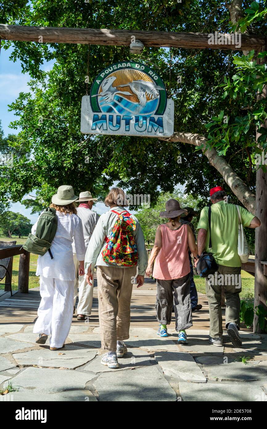A small party of tourists heading for the river Mutum, (Rio Mutum) at A ...