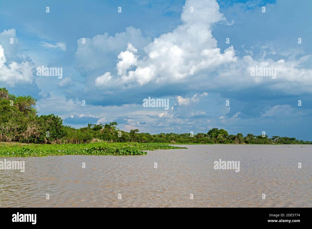 The Mutum River, (Rio Mutum) in the world's largest wetlands of the ...