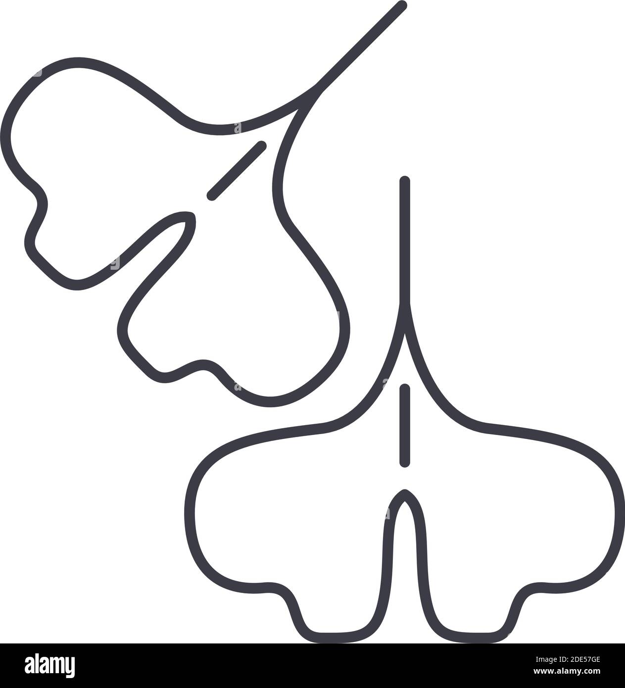 Ginkgo plant icon, linear isolated illustration, thin line vector, web ...