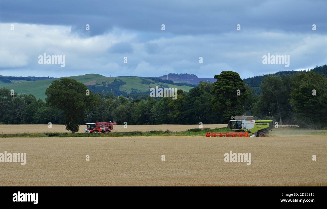Crop Harvest in Scenic Scotland Farming Stock Photo - Alamy