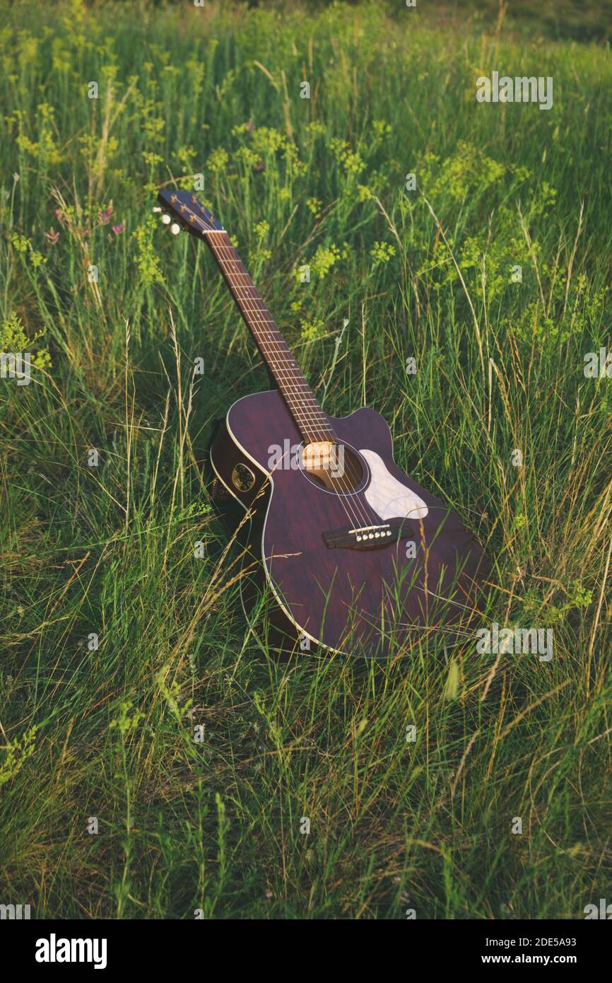 Mandolin on grass hi-res stock photography and images - Alamy