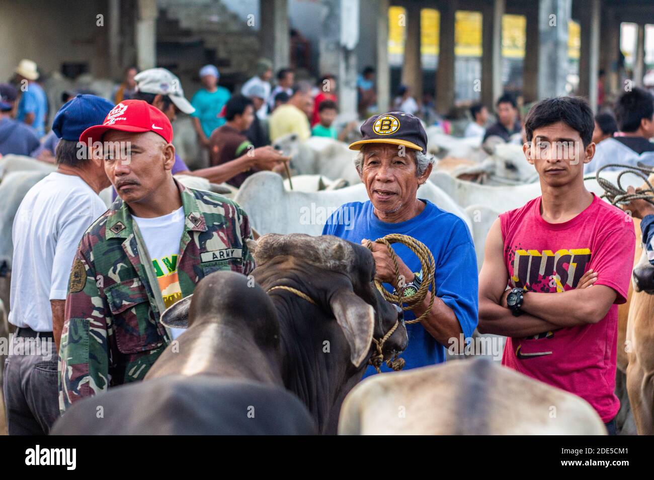 Early morning at the Padre Garcia Livestock Auction Market in Batangas ...
