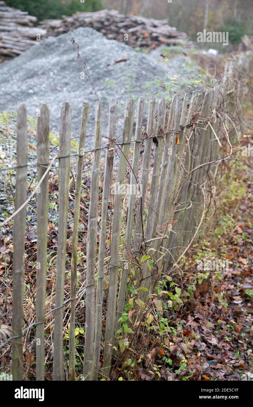 Shorne Woods Country Park.Kent.UK. A picket fence. A pile pf logs can ...