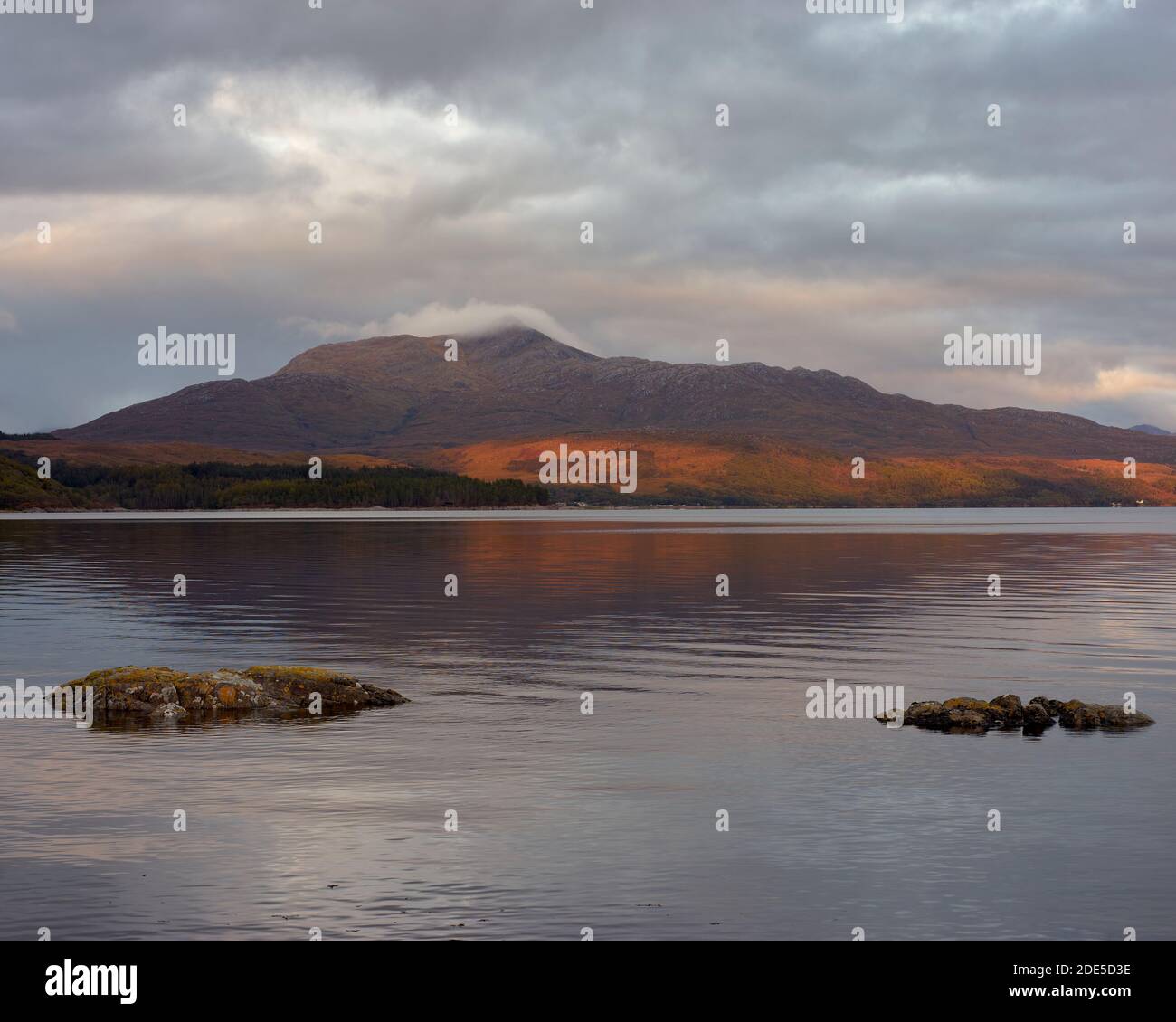 Resipole High Resolution Stock Photography and Images - Alamy