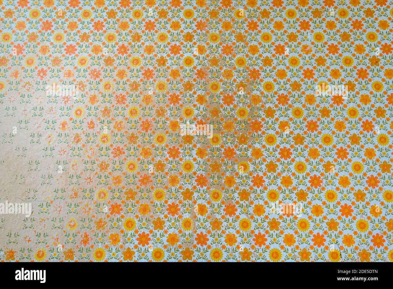 Old retro wallpapers with different patterns in old abandoned buildings ...