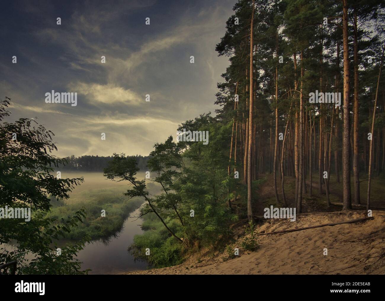 Mysterious River Grabia in summer day, Poland Stock Photo - Alamy