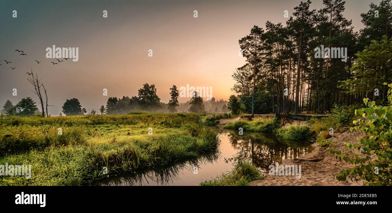 Mysterious River Grabia in summer day, Poland Stock Photo - Alamy
