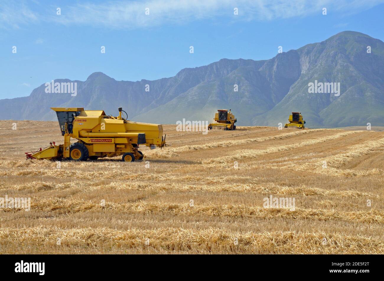 Wheat harvesters at work near the village of Greyton. The Western Cape ...