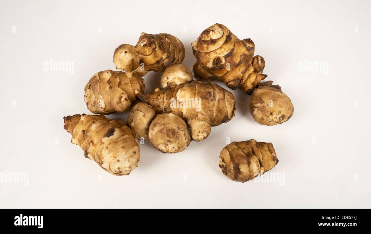 Jerusalem Artichokes in a white background. Fresh root vegetable ...