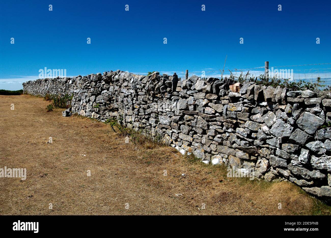 Stone walling on The National Trust's Gower Peninsula, South Wales ...