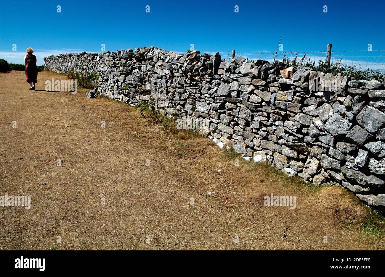 Stone walling on The National Trust's Gower Peninsula, South Wales ...