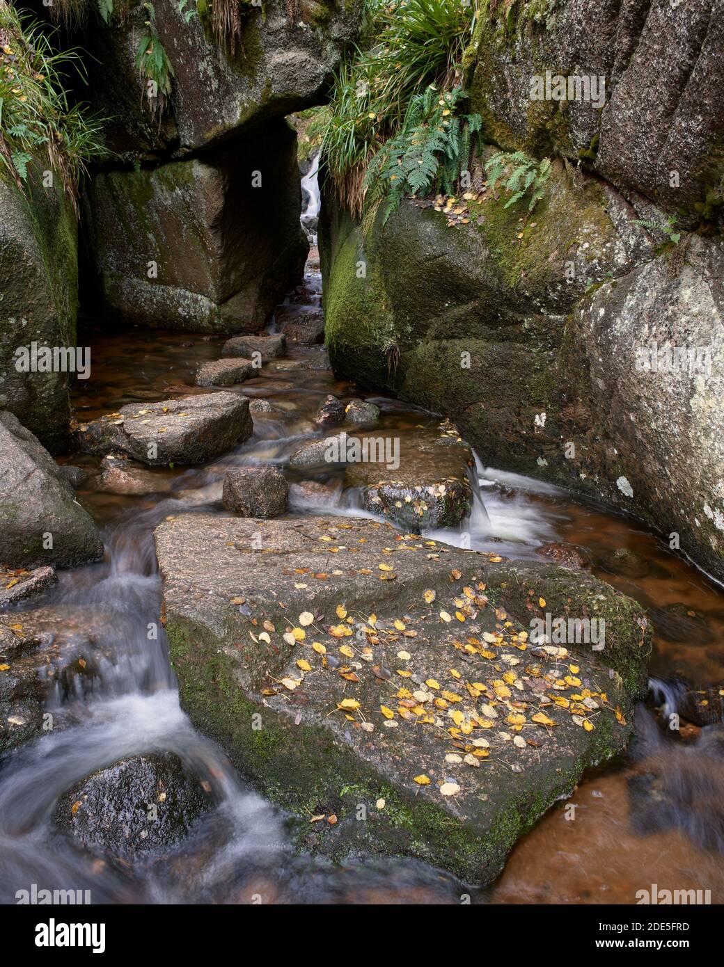 Entrance to the Burn o' Vat, a glacial pothole, Muir of Dinnet National ...