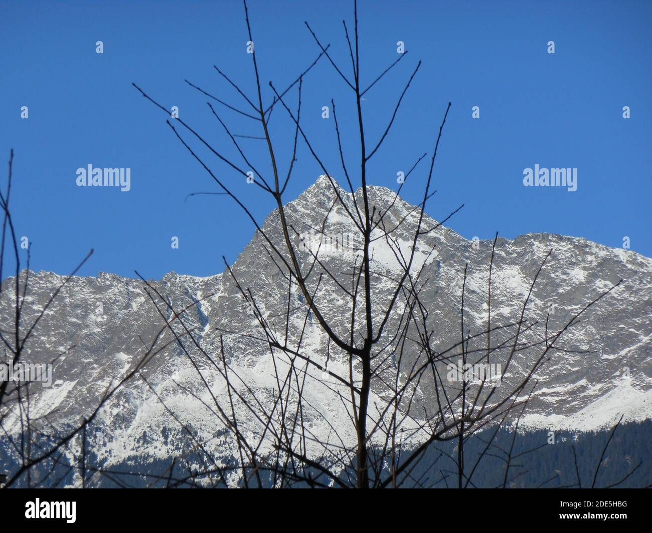 View of the snowy Alps with branches of a leafless tree in Merano Italy ...