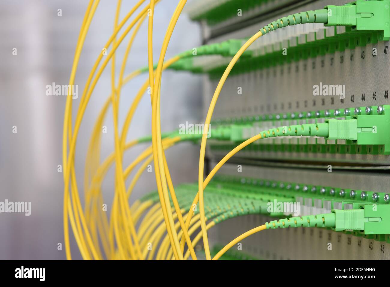 Technology network center with fiber optic patch cord and distribution ...