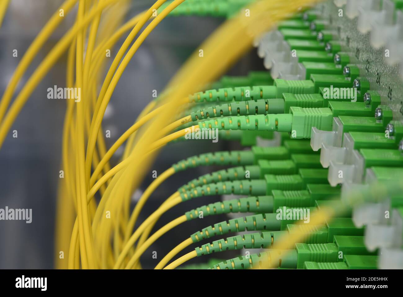 Technology network center with fiber optic patch cord and distribution ...