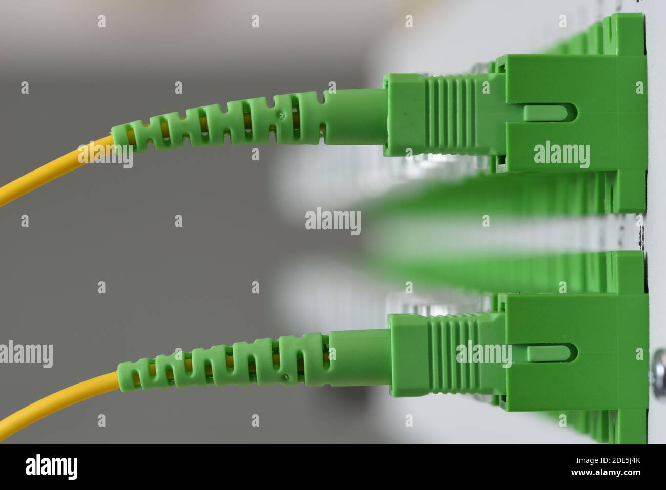 Distribution panel with connected optical patch cord cables close-up ...