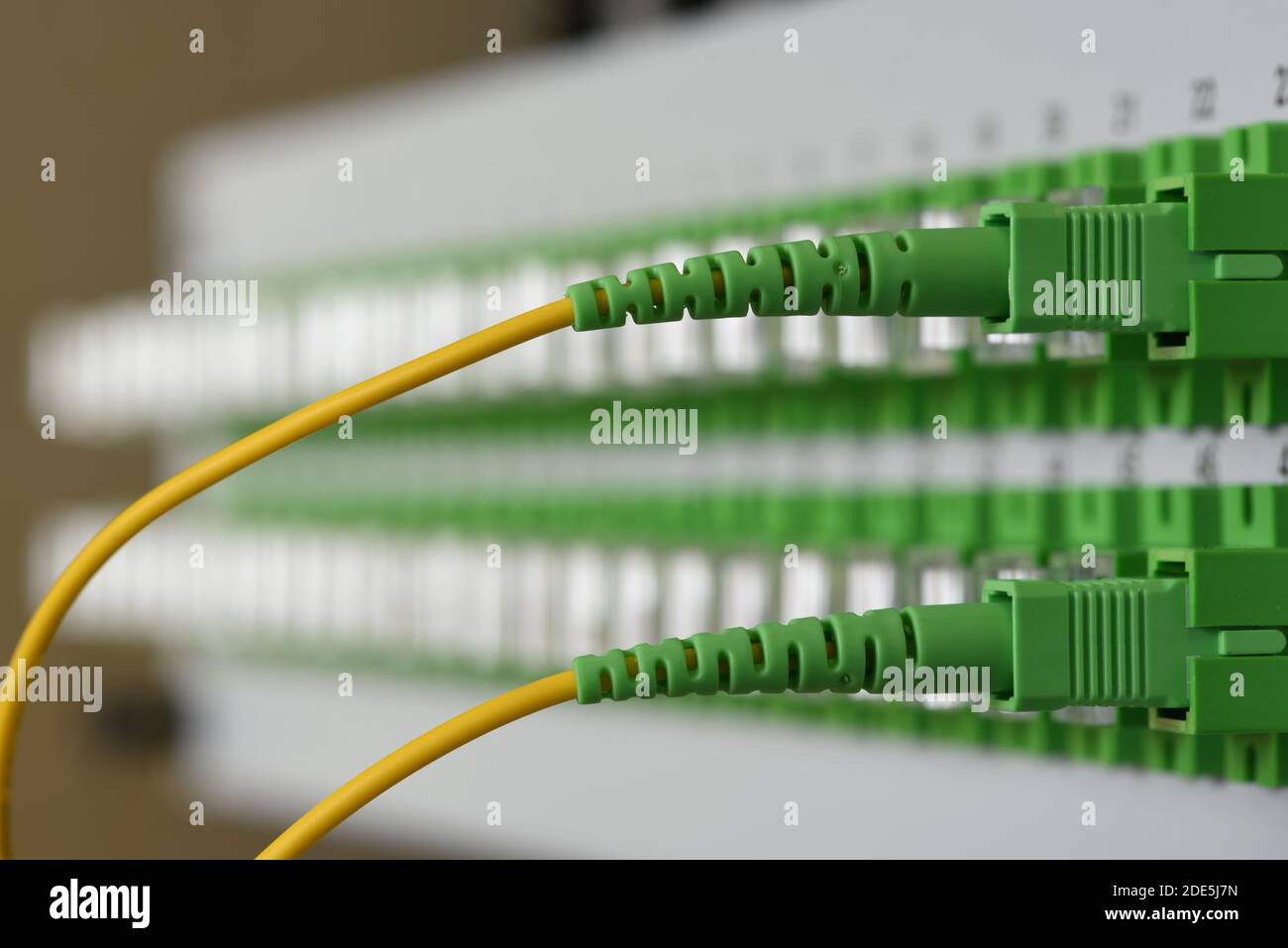 Distribution panel with connected optical patch cord cables Stock Photo ...