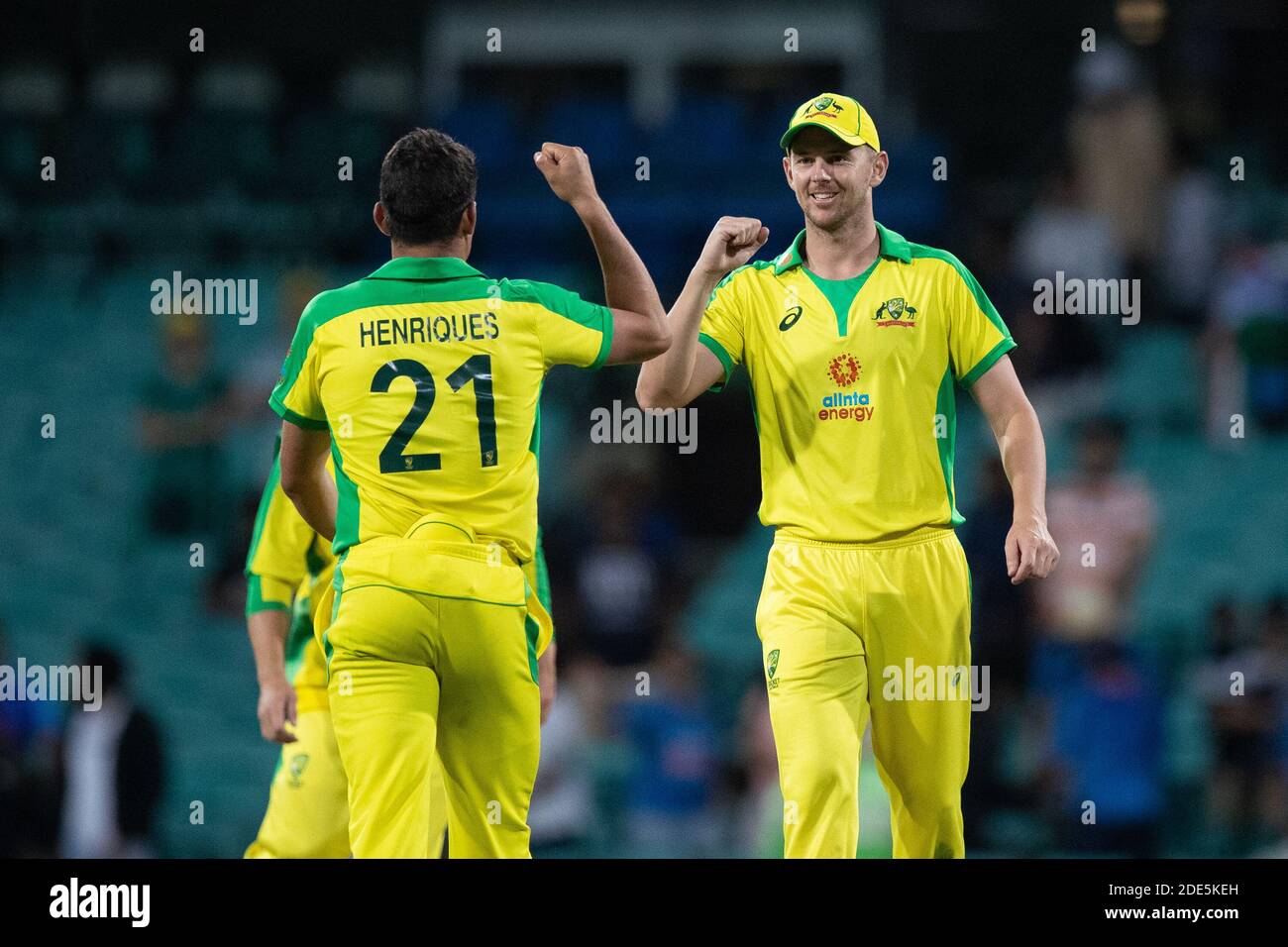 Cricket player moises henriques hi-res stock photography and images - Alamy