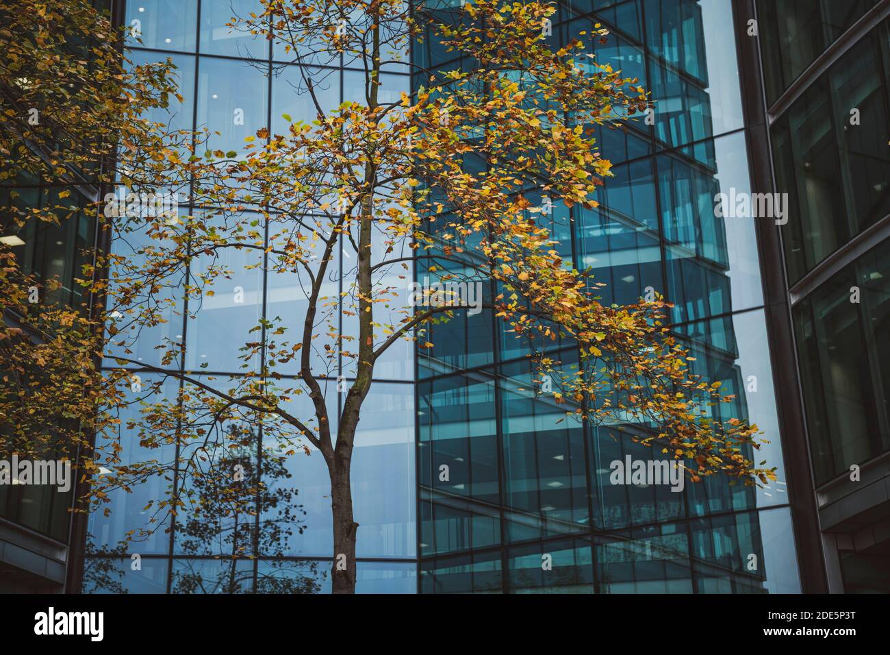 Modern glass office buildings in London, cityscape showing urban ...