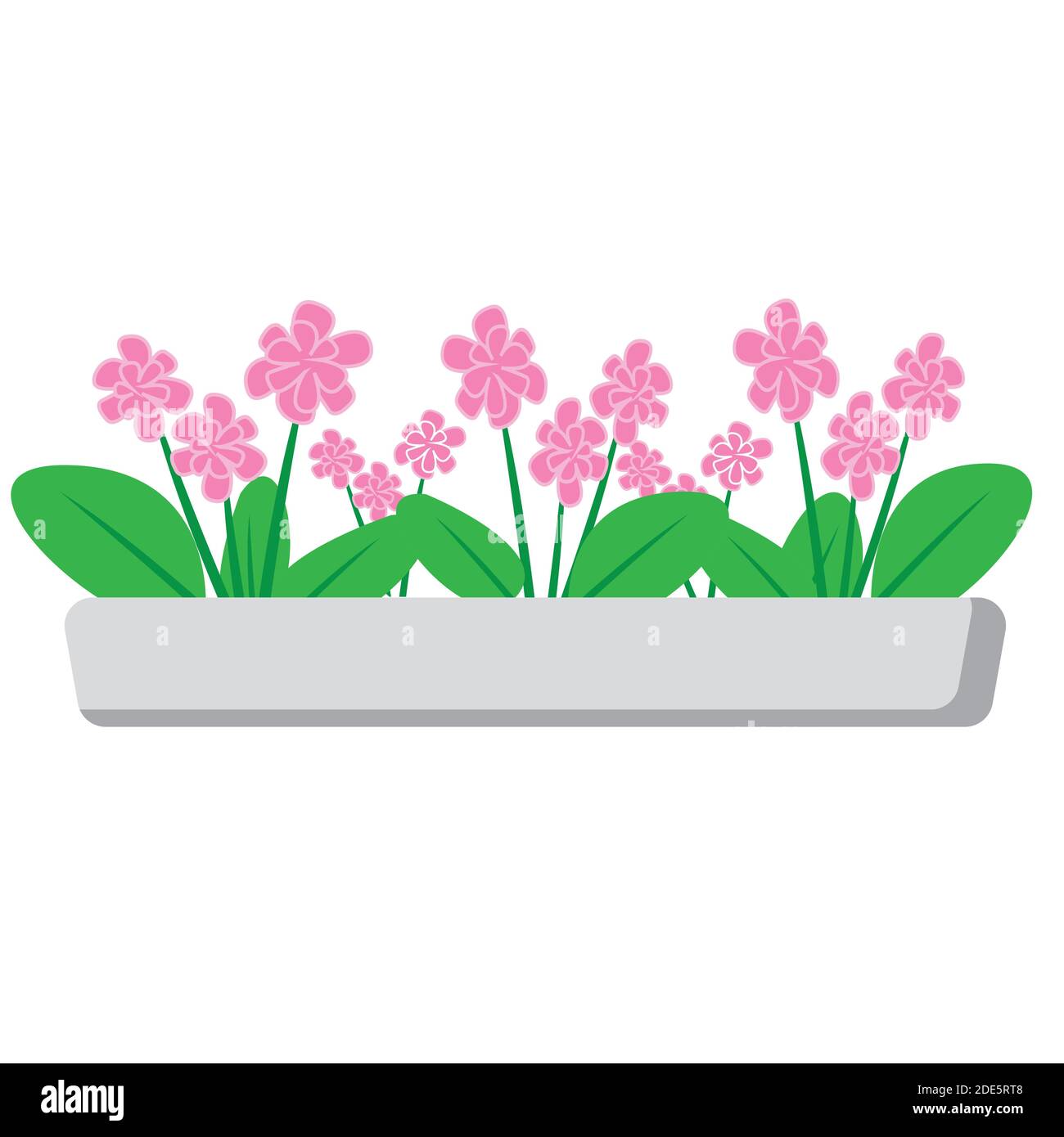 Long flower pot hi-res stock photography and images - Alamy