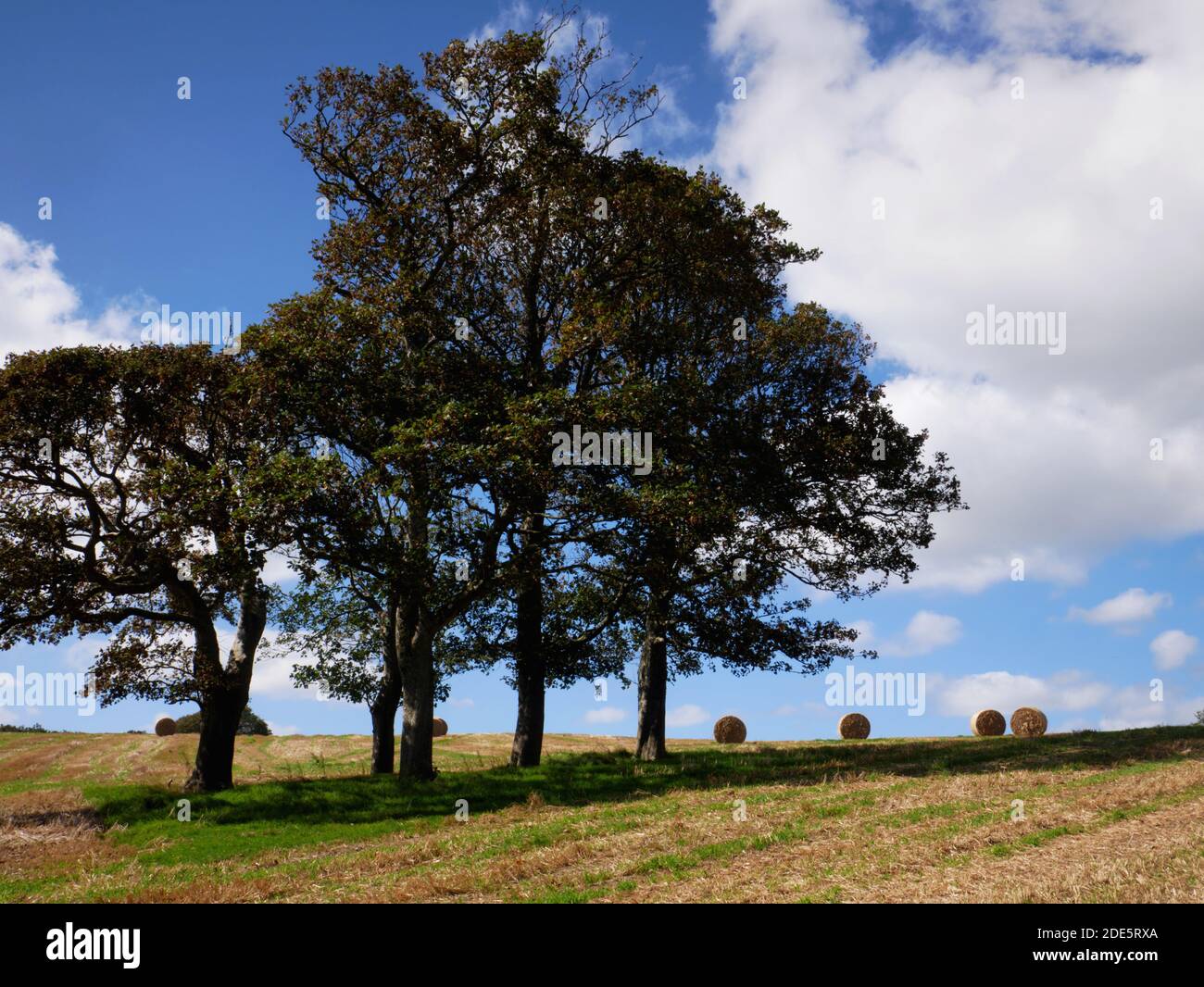 Menabilly hi-res stock photography and images - Alamy