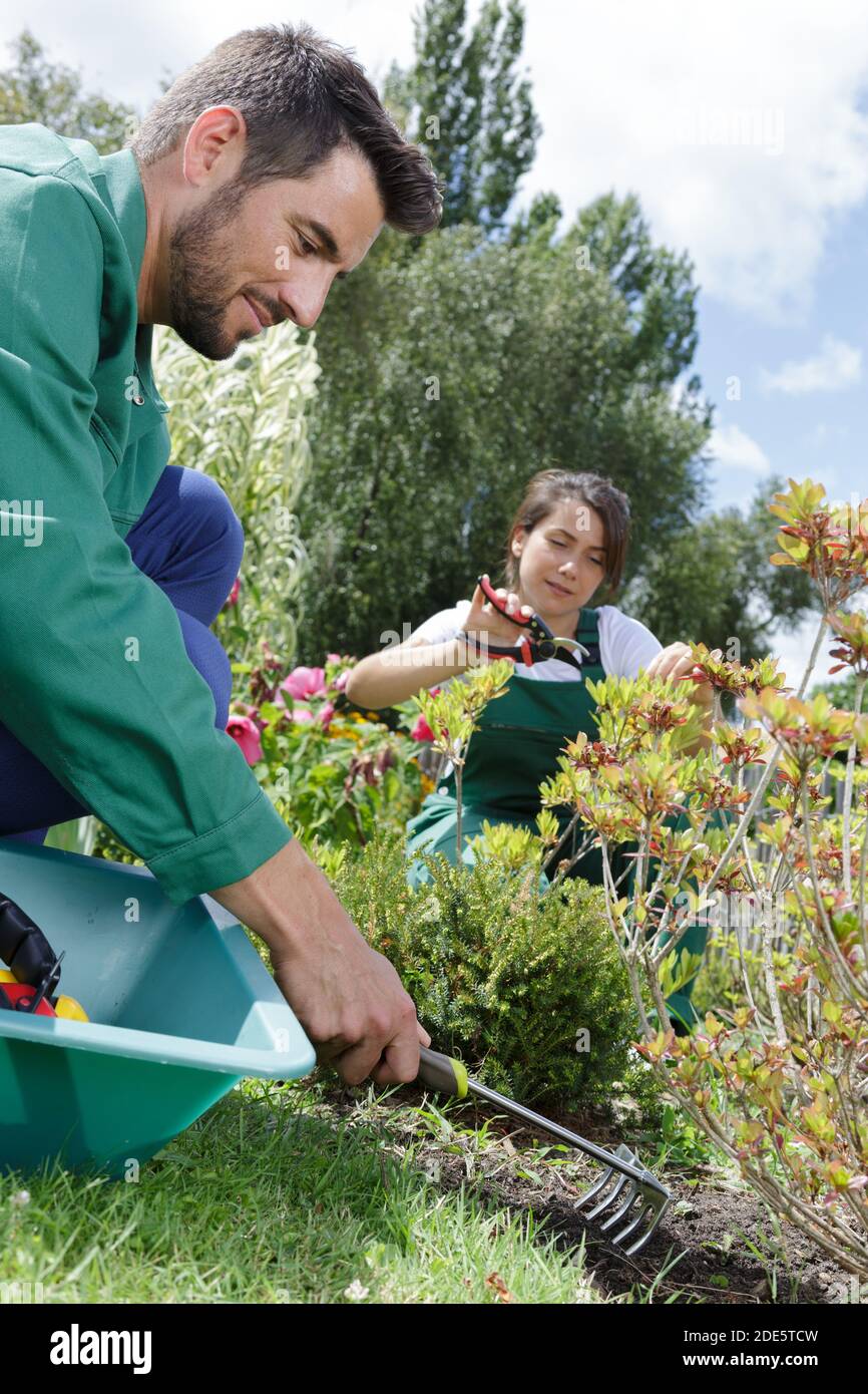 Elderly man planting tree hi-res stock photography and images - Alamy