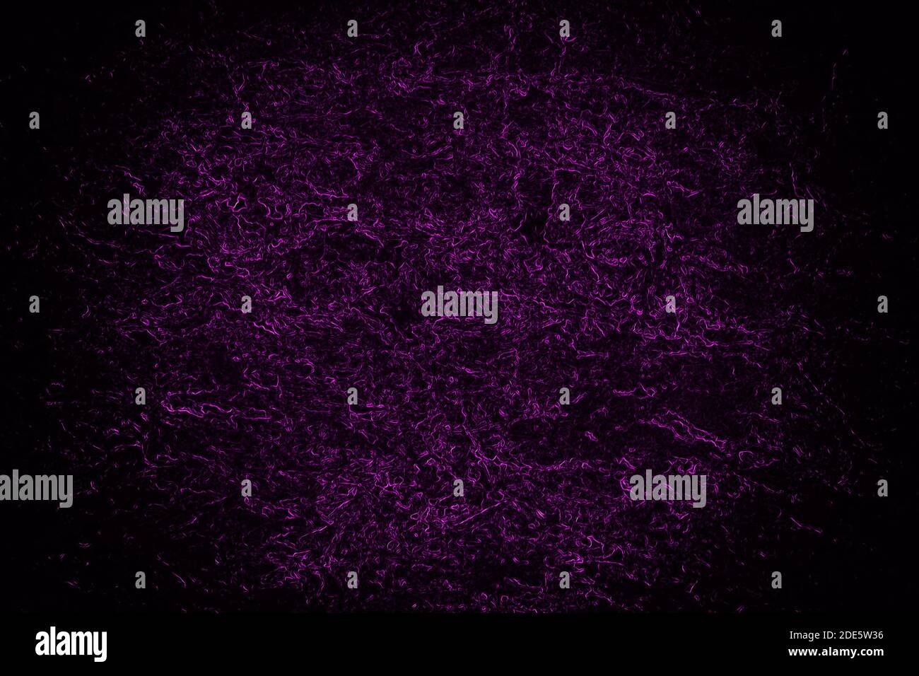 Purple abstract background. Vignette Top view Stock Photo - Alamy
